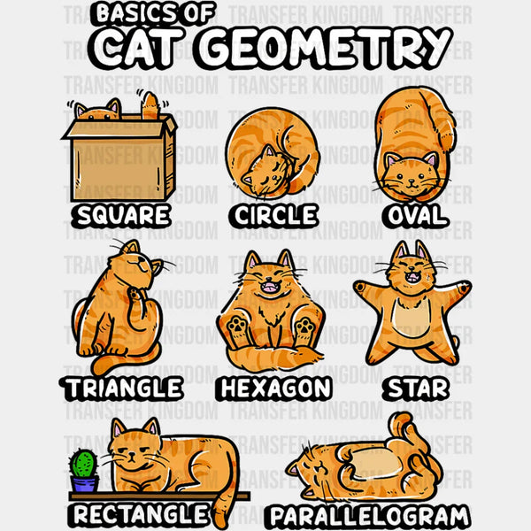 Basics Of Cat Geometry - Cats DTF Transfer – Transfer Kingdom